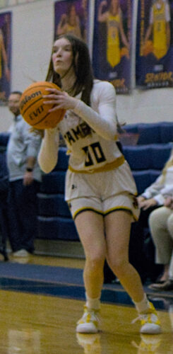 Cameron Rolls To W.Va. Class A Sectional Title | News, Sports, Jobs ...